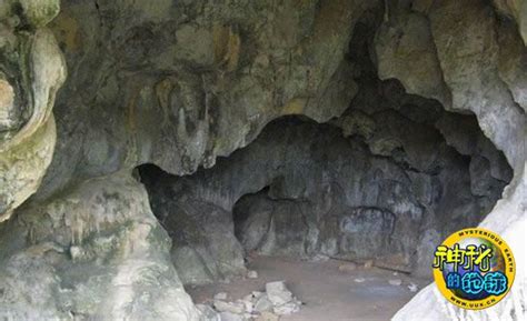 广西武鸣甘圩潭驮洞挖掘牙齿化石 神秘的地球 科学自然地理探索