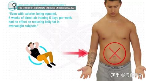 如何减掉腹部顽固脂肪让腹肌露出来 知乎