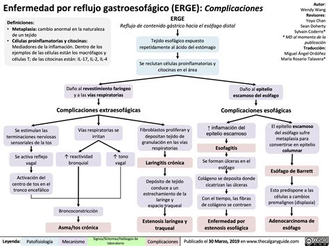 Enfermedad Por Reflujo Gastroesofagico Erge Complicaciones Calgary
