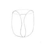 How To Draw A Tulip Easy Step By Step