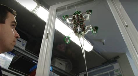 Gecko Inspired Adhesives May Help Robots Scale New Heights Technology News The Indian Express