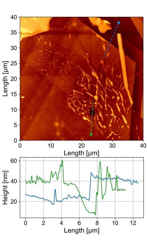 Figure Si 4 Raster Scanned Height Profiles Of The 2d Structure Download Scientific Diagram