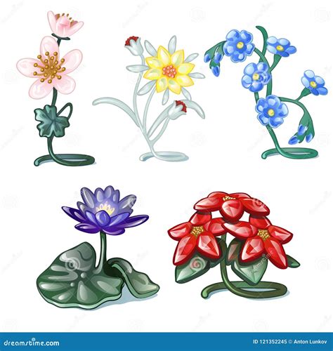 Nymphaea Caerulea Antique Flower Illustrations Royalty Free Cartoon