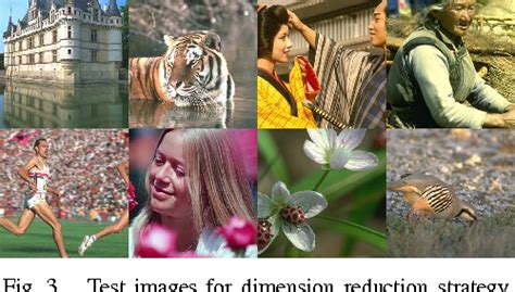 figure 3 from single image super resolution via adaptive high