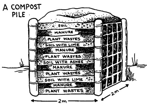Naturalism The Eighth Sense Composting Is An Ancient Practice