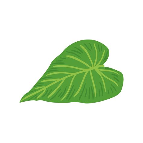 装饰图案 绿色装饰叶子植物 好图网