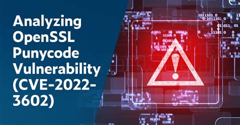 Igor Kirilenko On Linkedin Analyzing Openssl Punycode Vulnerability Cve 2022 3602 Parasoft