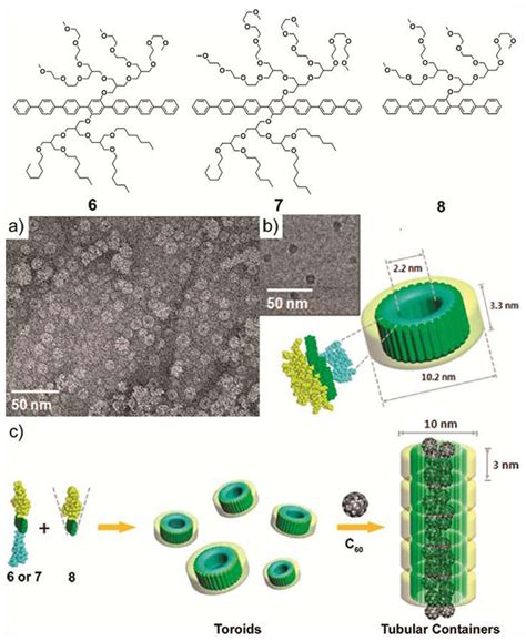 Ijms Free Full Text Aqueous Self Sorting In Extended Supramolecular
