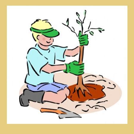 Planting Trees Drawing At PaintingValley Com Explore Collection Of Planting Trees Drawing