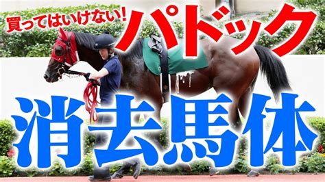【パドックの見方】見つけたら買っちゃダメ！「即消し」できる4パターン【競馬予想】 Youtube