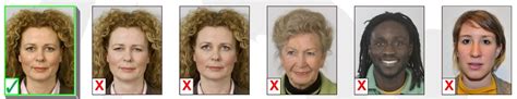 Belgium Passport Photo Guide Visas For Future