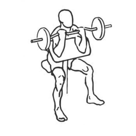 Comment Exécuter Le Curl Barre Ez Au Pupitre
