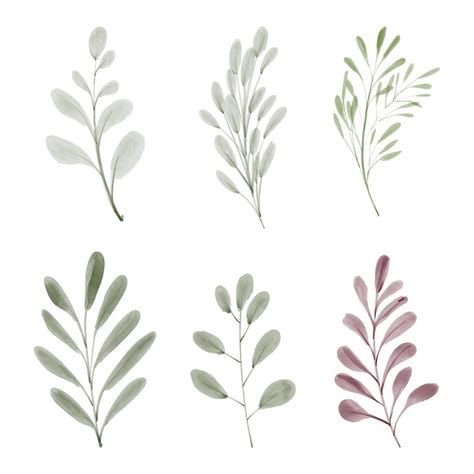 Foliage Vector Art Icons And Graphics For Free Download