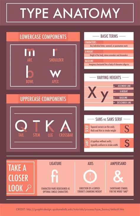 Type Anatomy Infographic On Behance