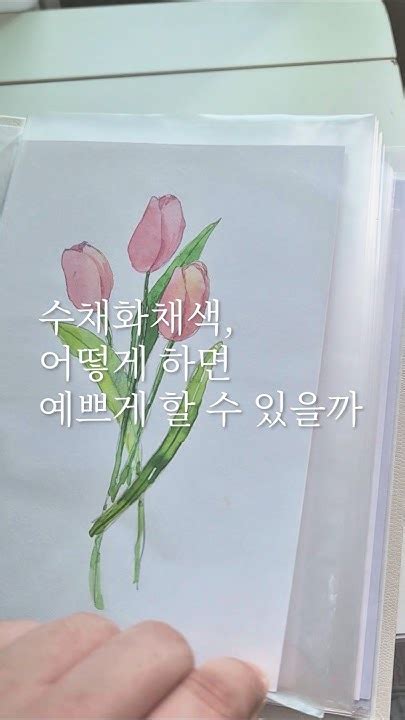 초보자 독학자를 위한 수채화 기초 온라인클래스 13기 모집 Youtube