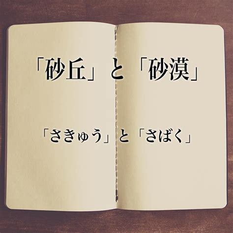 「砂丘」と「砂漠」の違いとは？詳しく解釈 Meaning Book