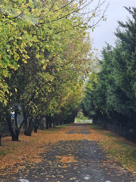 Bathurst Autumn Photo Competition Bathurst Region Tourism