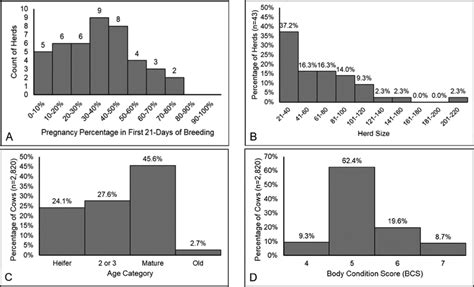 Distributions Of Study Herds N 43 Pregnancy Percentage In The