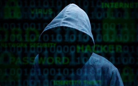 Bezpłatne szkolenia z cyberbezpieczeństwa NetProf