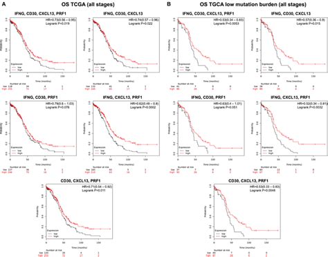 Validation Cohort Using Data From Tcga And Predictive Value Of The Five