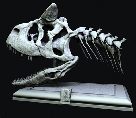 Psittacosaurus Skeleton Model Replica Skull Nova Studios