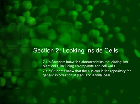 Ppt Looking Inside Cells Powerpoint Presentation Free Download Id