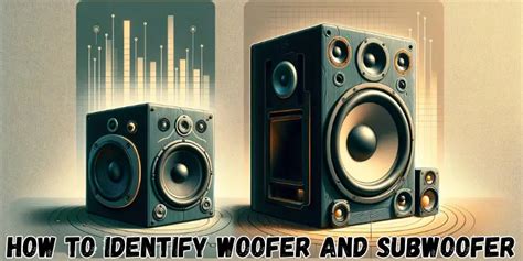 5 Difference: How To Identify Woofer And Subwoofer (2025)