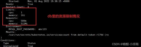 Kubernetes：（五）pod进阶（资源限制、健康检查）kubectl Pod Limit Csdn博客