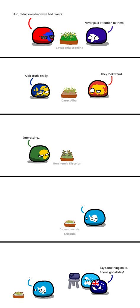 Flora Stage Rcontinentballs