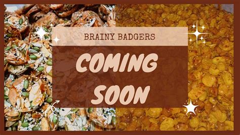 Brainy Badgers Kota Kinabalu