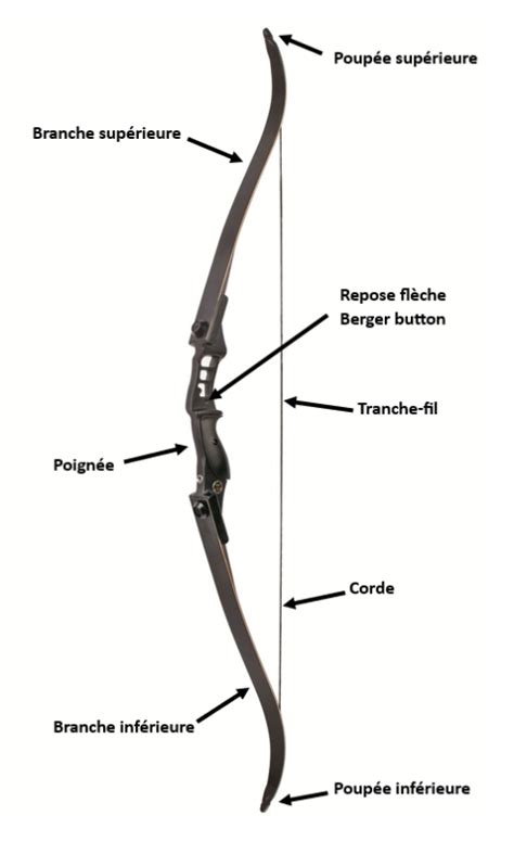Les Diff Rents Types D Arcs Les Archers Drouais