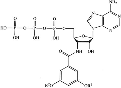 Molecular Structure Of Dt 0111 Download Scientific Diagram