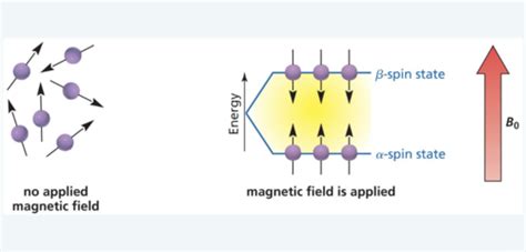 Nmr Spectroscopy Flashcards Quizlet