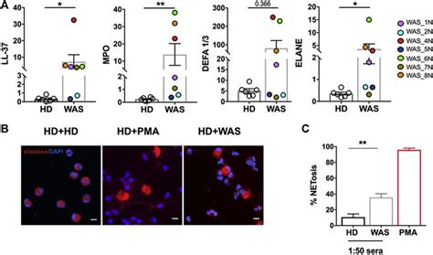 Increased Expression Of Neutrophil Related Genes In Patients With Was