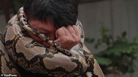Python Kills Man