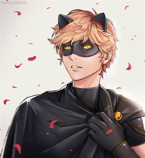 42 Fanart Cat Noir Anime Rosamond Dianna