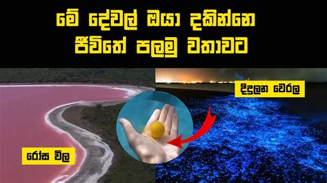 මේ දේවල් ඔයා දකින්නෙ ජීවිතේ පලමු වතාවට Kalu Sinhaya Youtube
