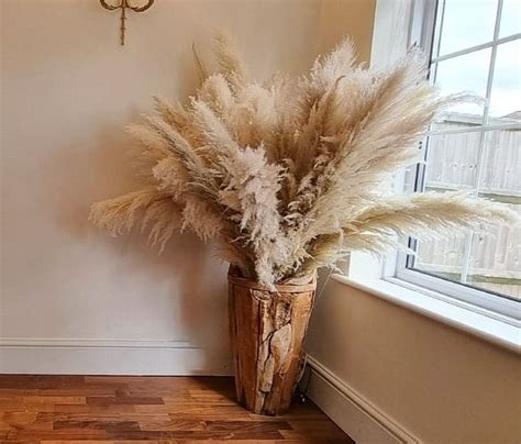 Pampas Grass Large Chic Deluxe Beige Pampas 120cm Fluffy Pampas Pampas