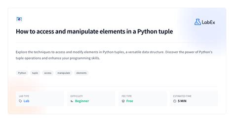 How To Access And Manipulate Elements In A Python Tuple Labex