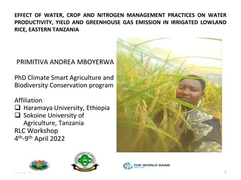 Pdf Effect Of Water And Nitrogen Management Practices On Water Productivity And Rice Yield In