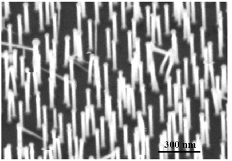 Aligned Zno Nanorodsnanowires Epitaxially Grown On Zno Substrate Using Download Scientific