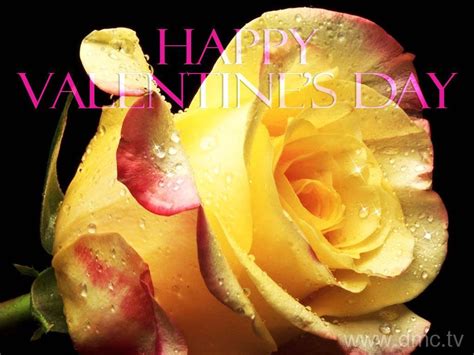 สุขสันต์วันวาเลนไทน์ วันวาเลนไทน์