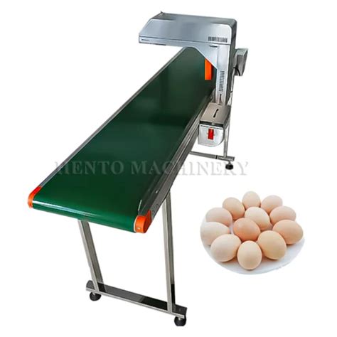 Electric Egg Date Printer Automatic Egg Code Printing Machine Egg Printing Machine And