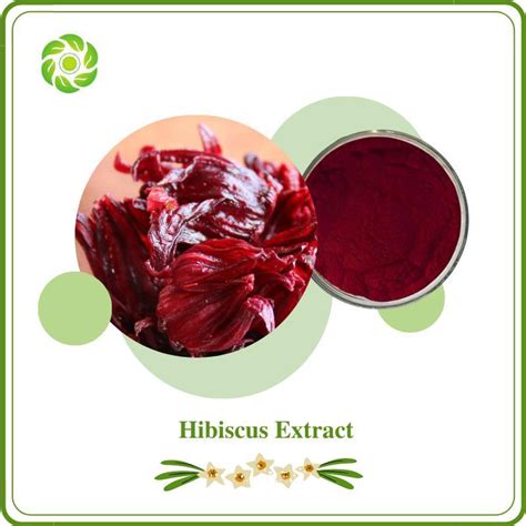 Anti Aging 100 Natural Herb Plant Extract Hibiscus Extract Food