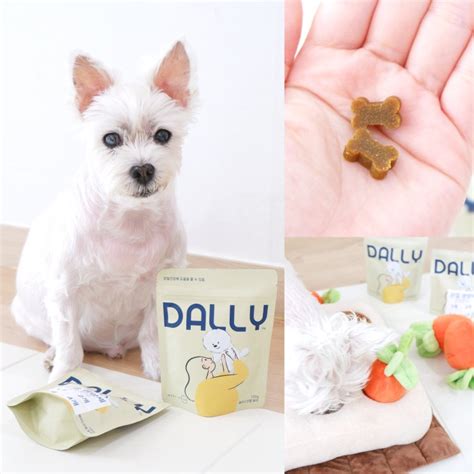 강아지슬개골탈구 노견 관절염 관절영양제 메이드인랩 달리 네이버 블로그