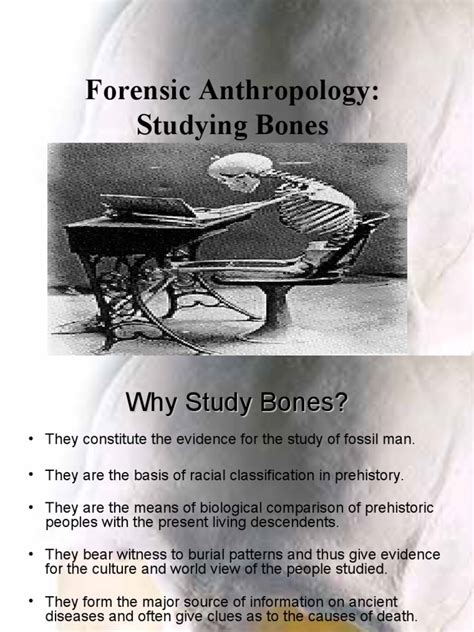 Unit 3 Forensic Anthropology Pdf Race Human Categorization Skull