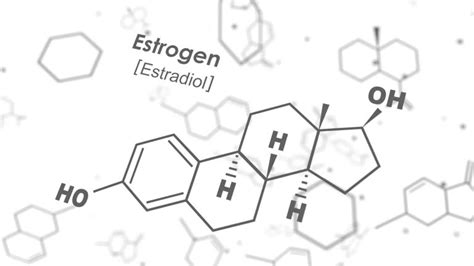 Estrogen Molecule Progesterone Female Sex Hormone Skeletal Chemical
