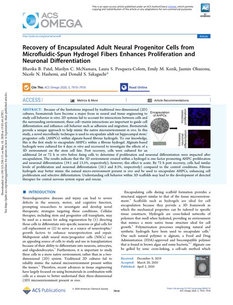 Pdf Recovery Of Encapsulated Adult Neural Progenitor Cells From