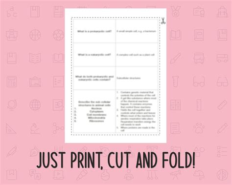 GCSE Physics Flashcards Etsy