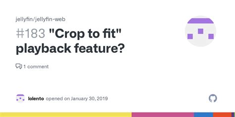 Crop To Fit Playback Feature · Issue 183 · Jellyfinjellyfin Web · Github